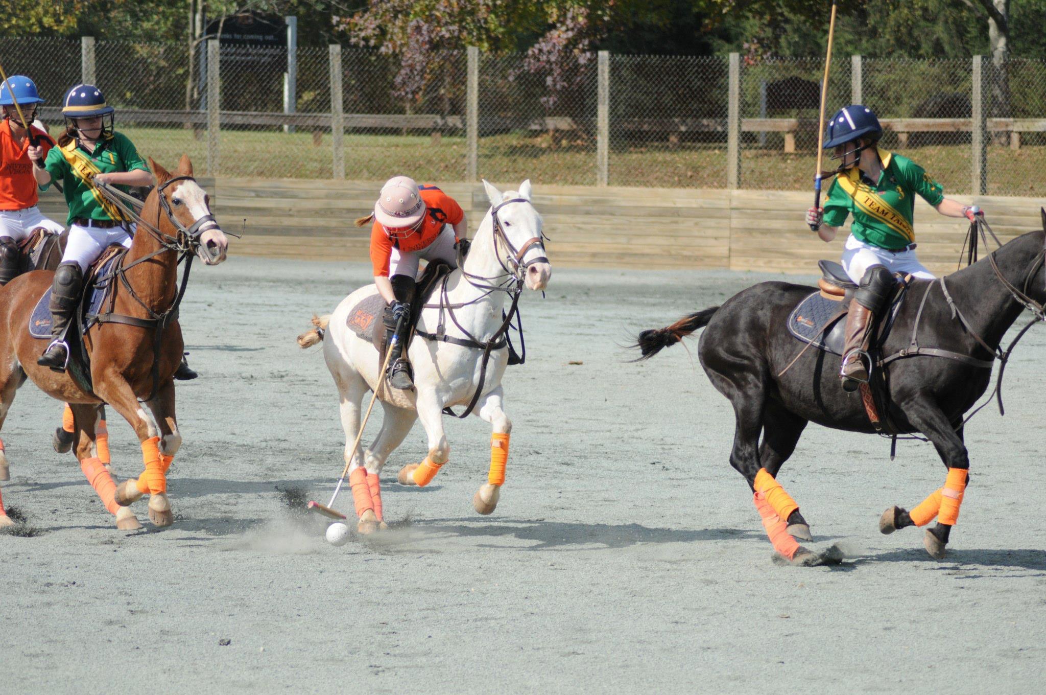 The Polo Training Foundation is dedicated to the future of polo in America.